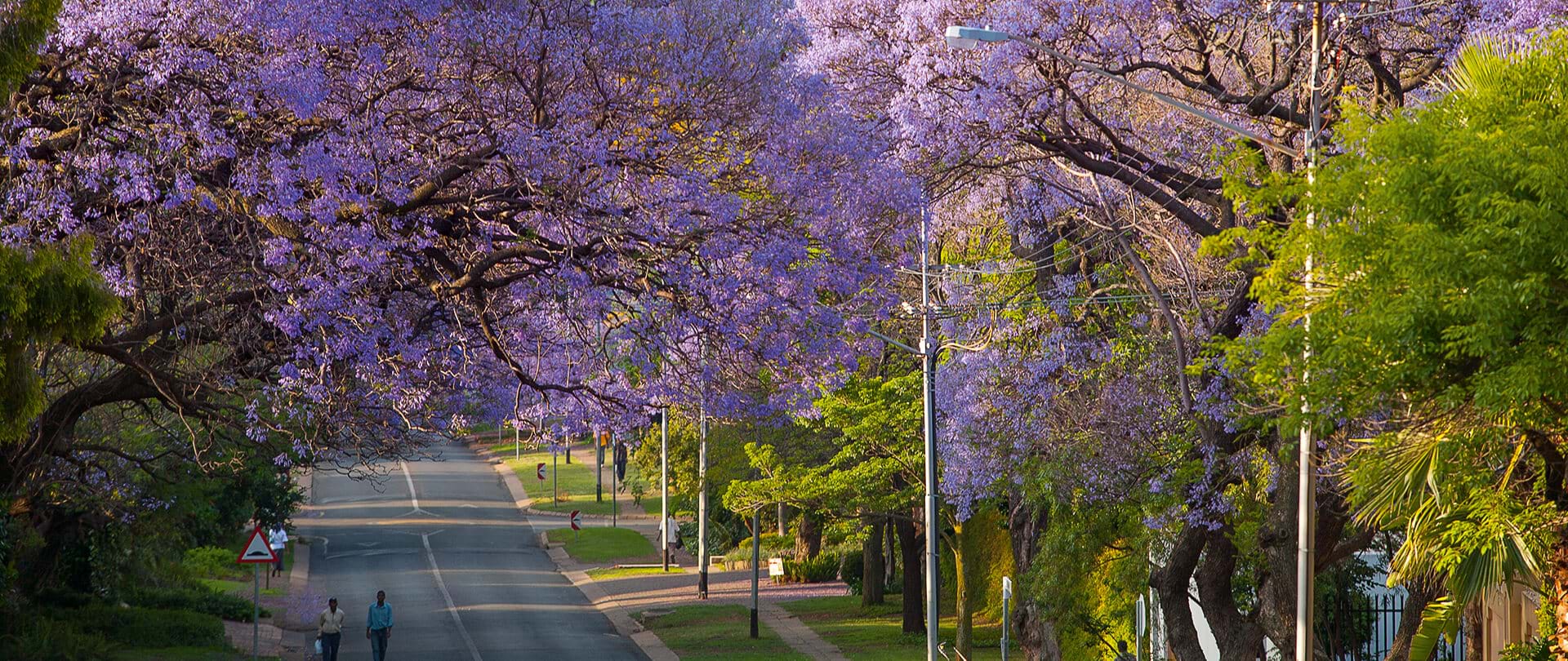 Pretoria | Pretoria (GL)