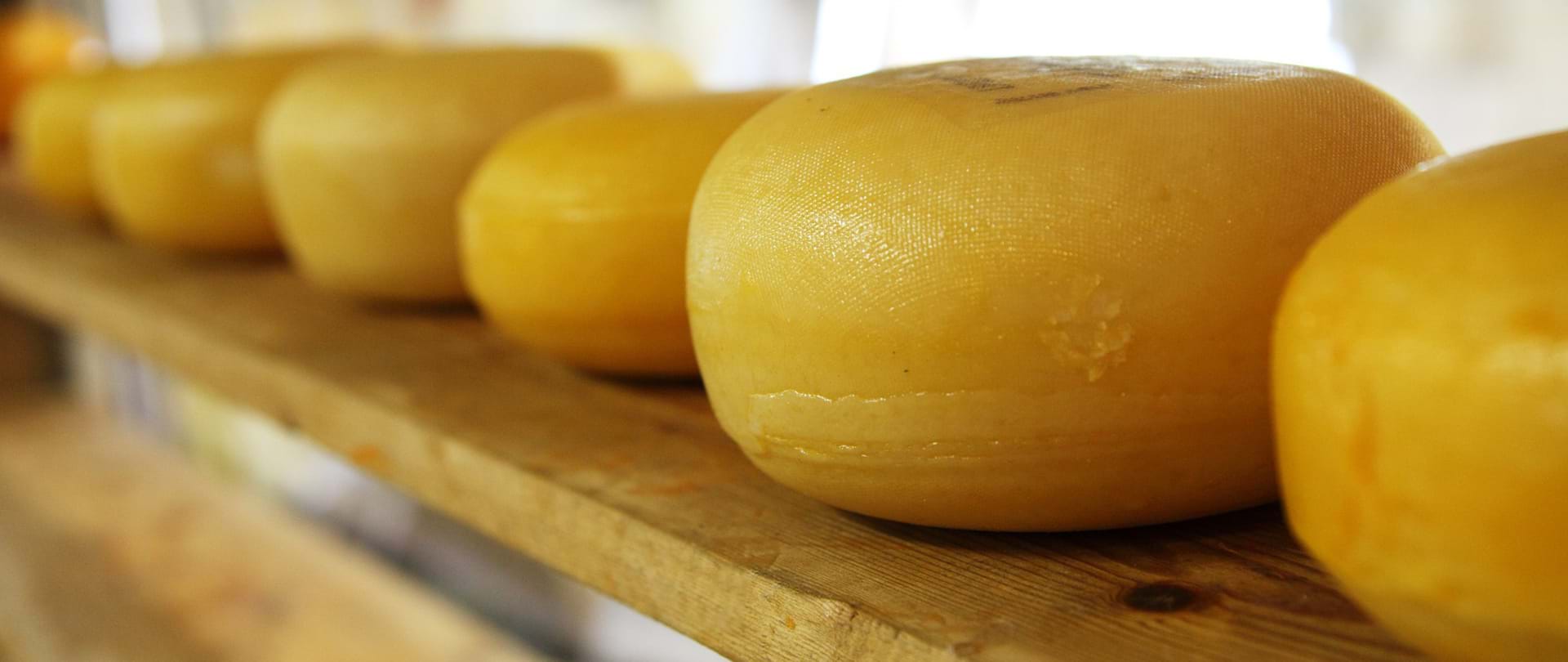 At Finest Kind cheese farm on the Garden Route you can learn how to ...