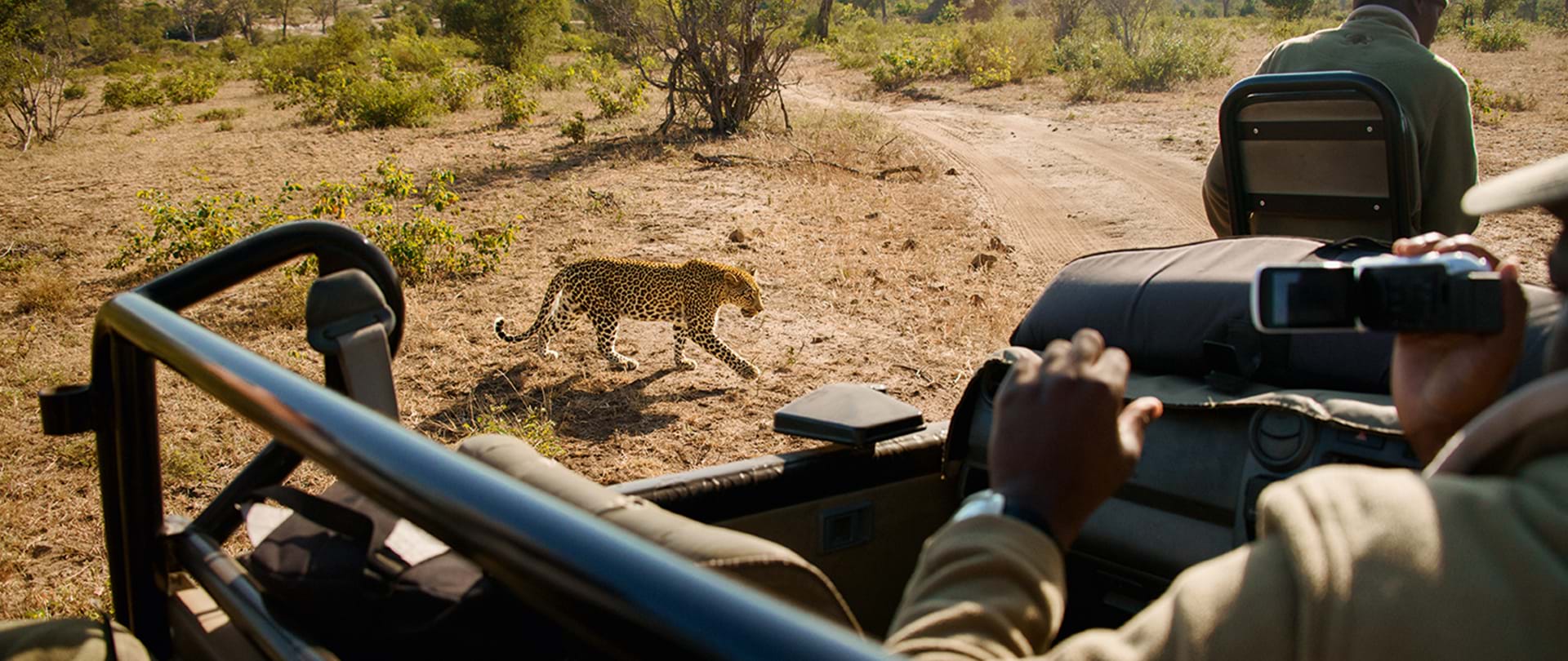 You've heard about the Big 5. Now meet the Big Seven! | Adventure ...