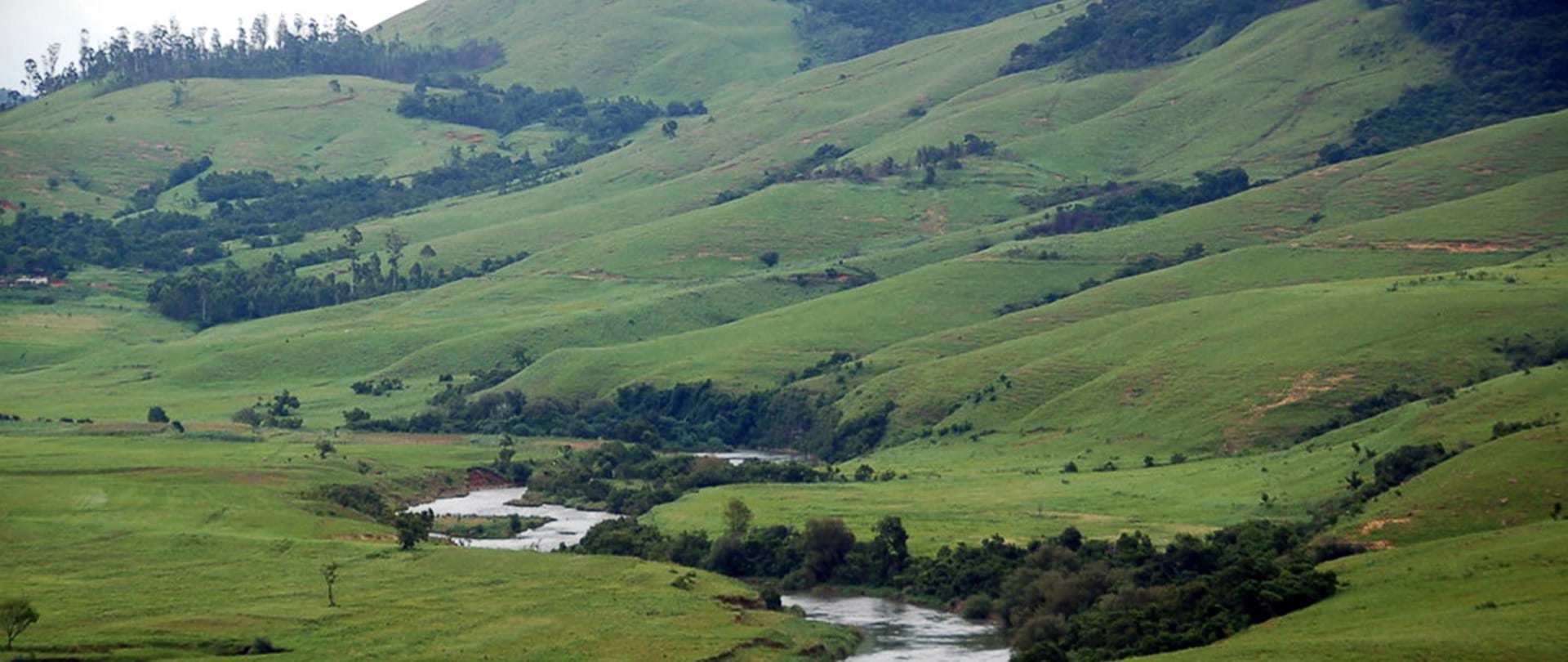 Midlands Meander - a misty mountain setting (AO)