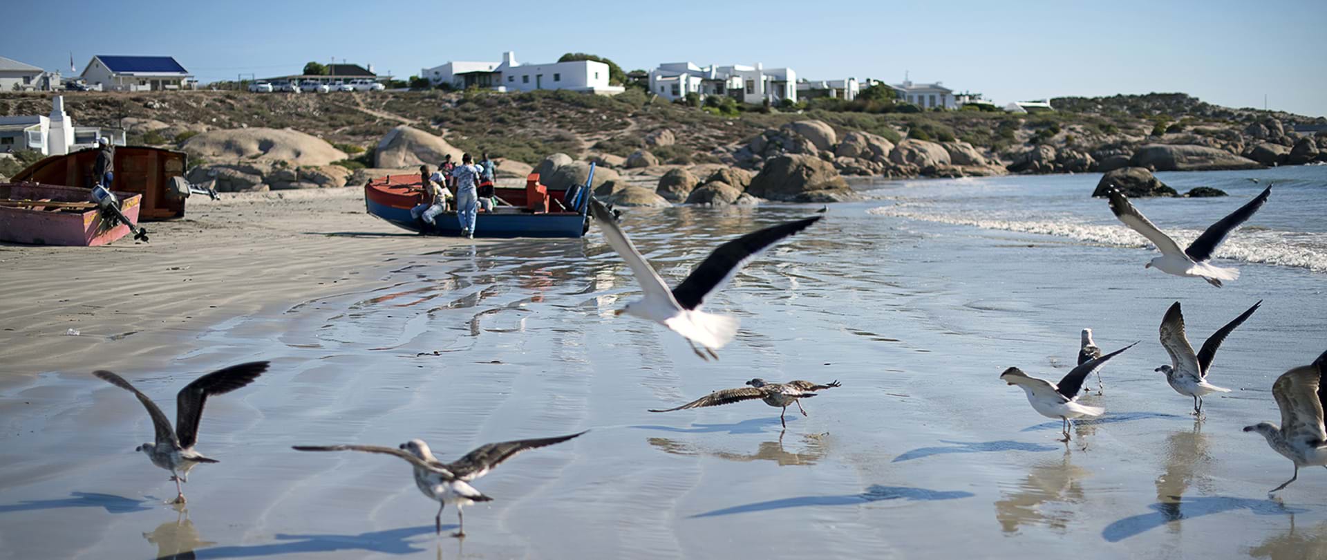 Hiking the Cape West Coast (ZA)
