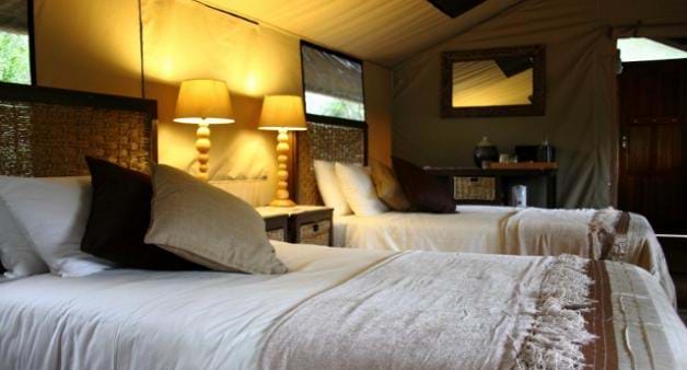 Tembe Elephant Park & Lodge | KwaZulu-Natal (GL)