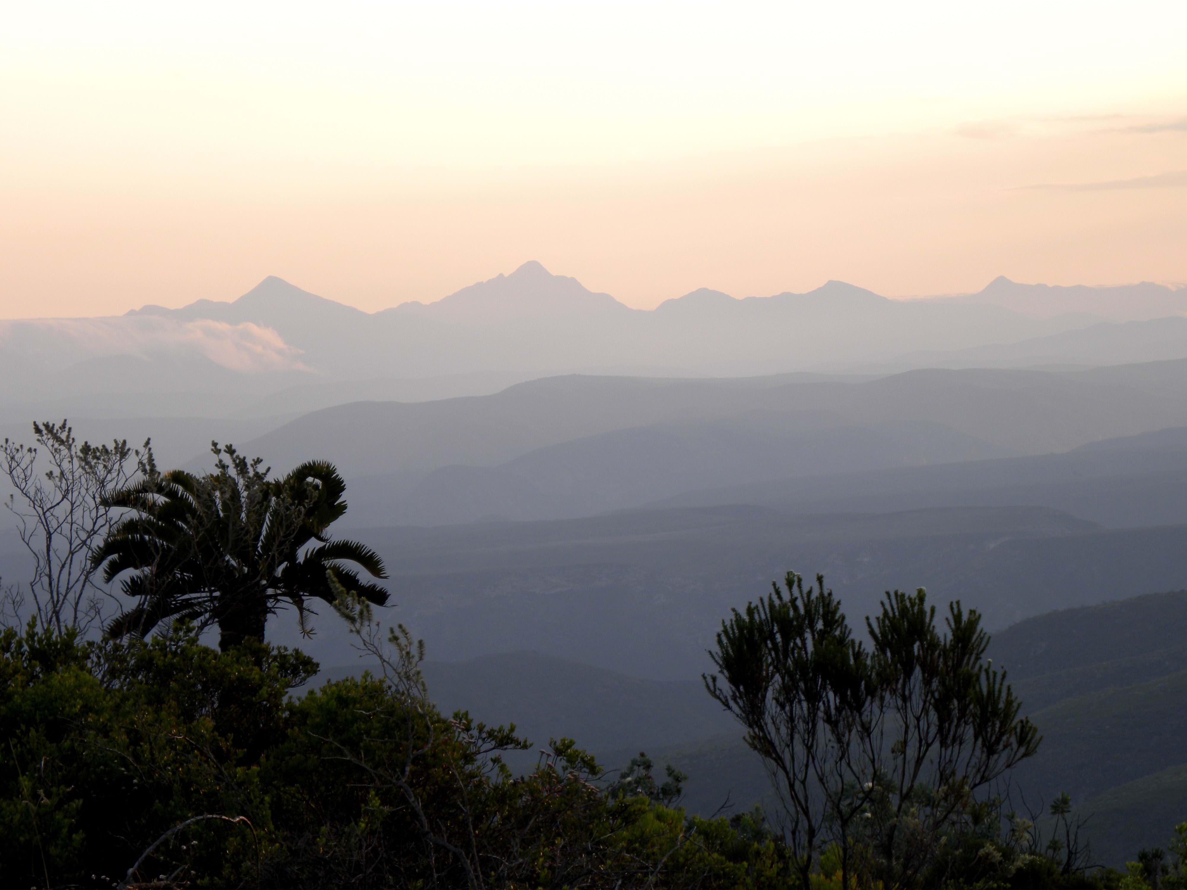 Modjadji Cycad Reserve in Limpopo – in the realm of the Rain Queen ...
