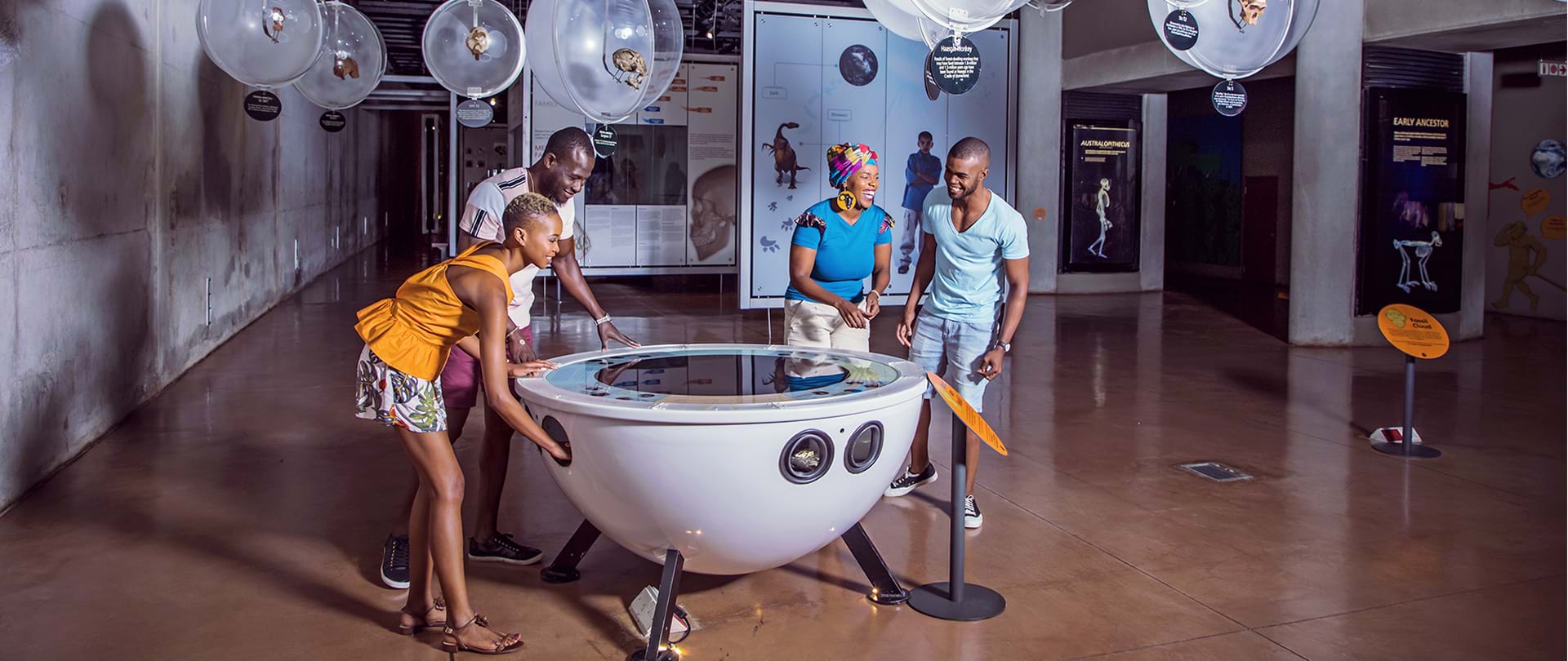 The Cradle of Humankind: the world’s richest hominim site (US)