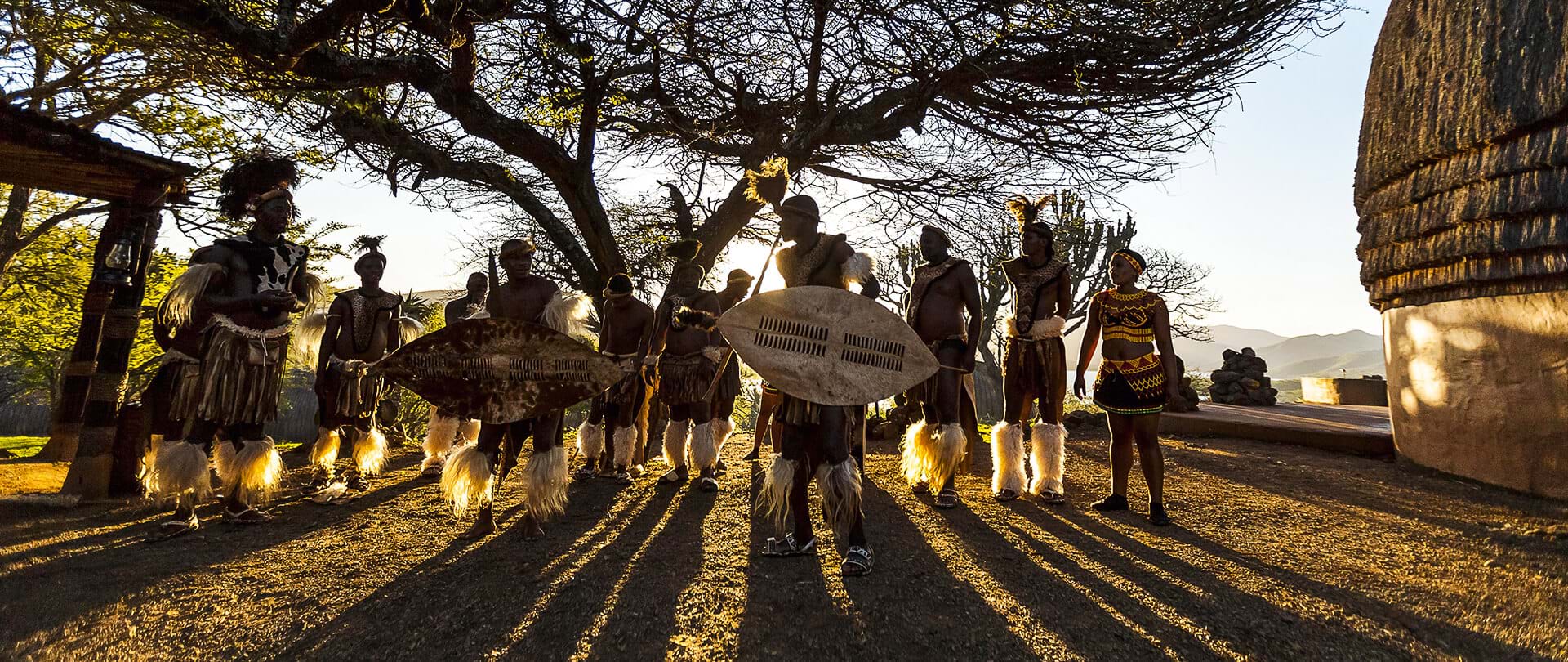 Zulu culture and cattle symbolism (ZW)