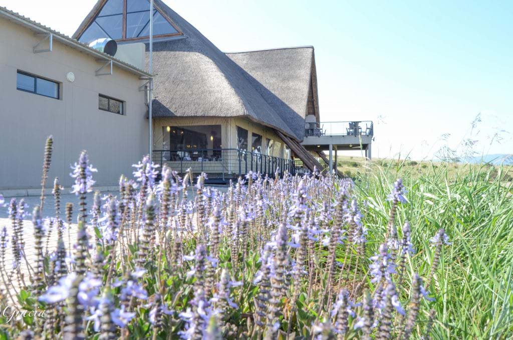 Mthatha Dam Resort Luchaba Nature Reserve | Eastern Cape (GL)