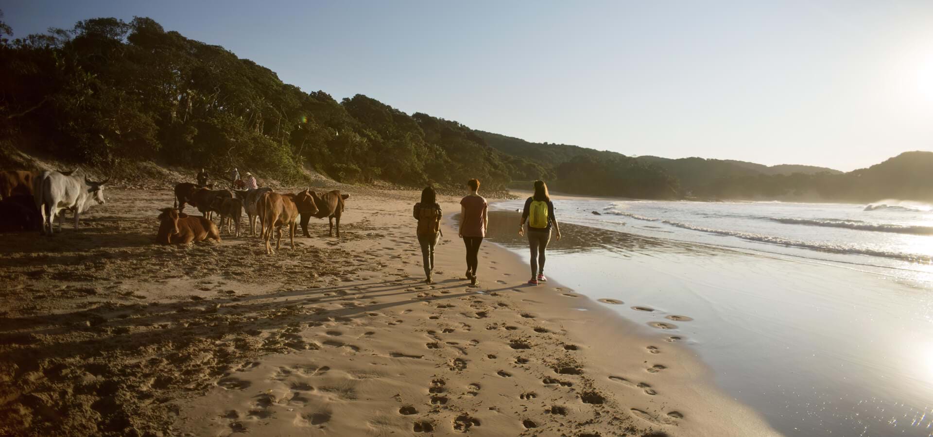 The Wild Coast, Eastern Cape | Adventure | Animals | Safari | Routes ...