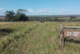 Nseleni Nature Reserve and Richards Bay Tour | KwaZulu-Natal | Active ...